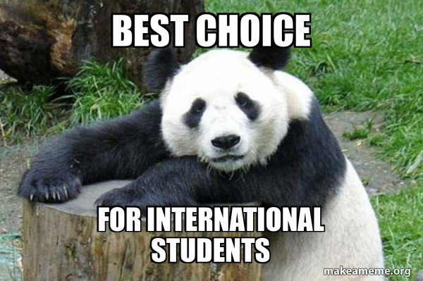 best choice for international students - Confession Panda Meme Generator