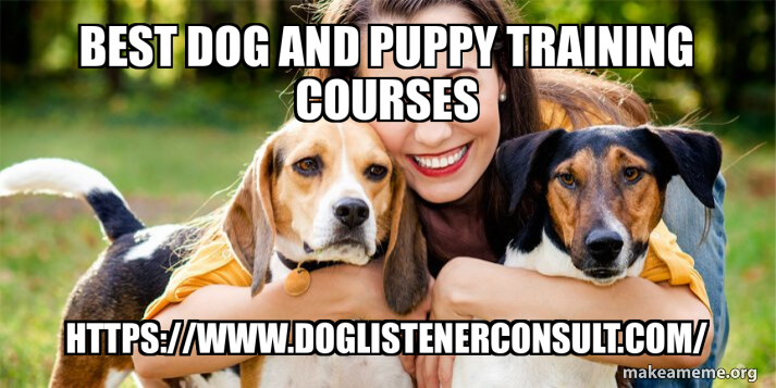 Best Dog And Puppy Training Courses https://www.doglistenerconsult.com ...