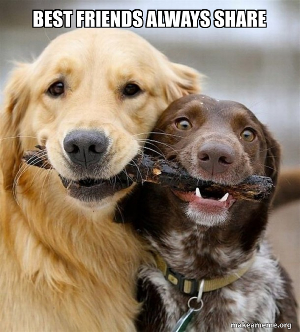 Best friends always share Meme Generator