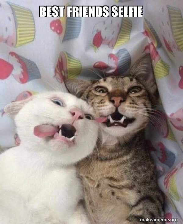 Best Friends Selfie Meme Generator