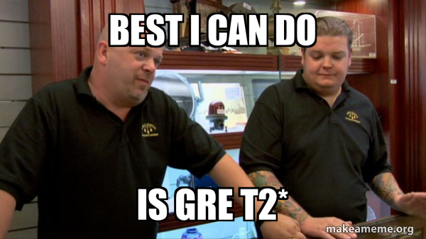 BEST I CAN DO IS GRE T2* - Pawn Stars Meme Generator