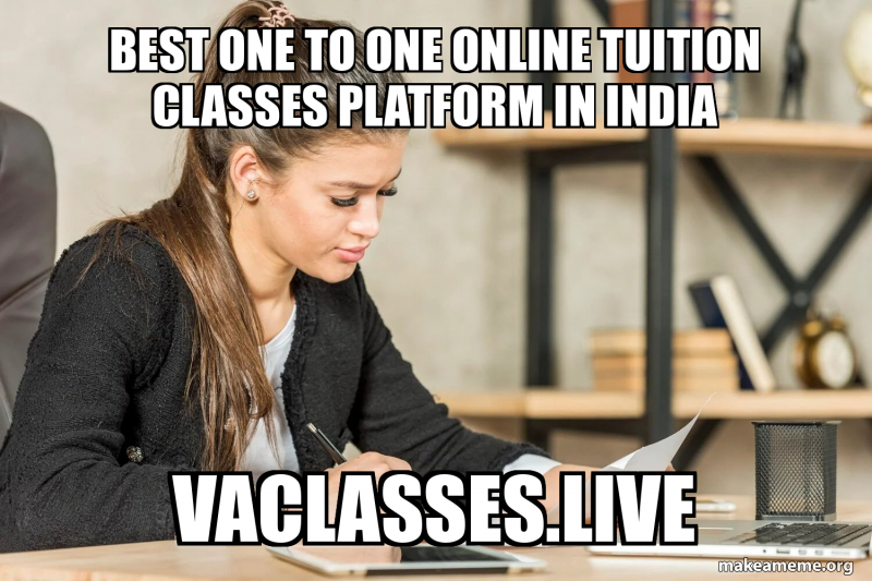 Best one to One Online Tuition Classes Platform in India vaclasses.live Meme Generator