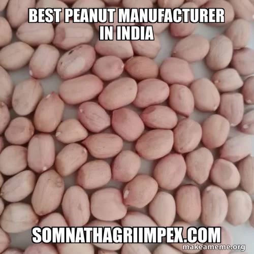 Best Peanut manufacturer in India somnathagriimpex.com Meme Generator