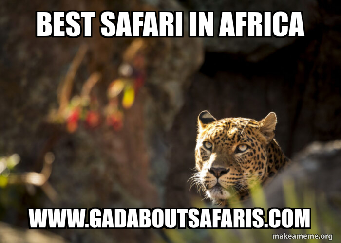 Best safari in Africa www.gadaboutsafaris.com - Best safari in Africa ...