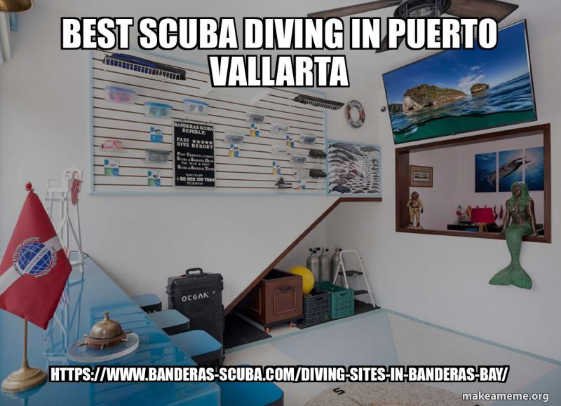 Best Scuba Diving in Puerto Vallarta https://www.banderas-scuba.com ...