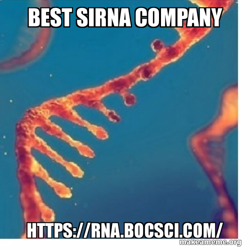 best sirna company https://rna.bocsci.com/ Meme Generator