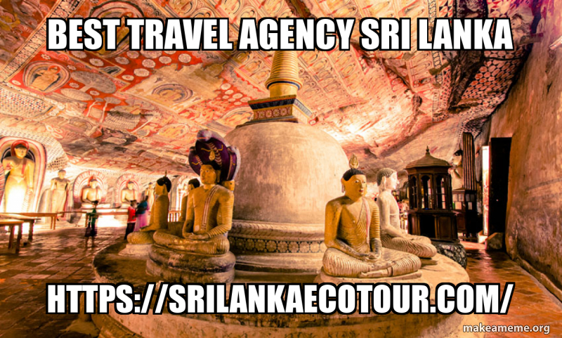 Best Travel Agency Sri Lanka https://srilankaecotour.com/ Meme Generator