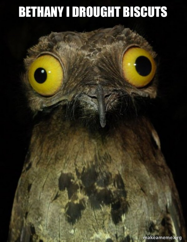 bethany i drought biscuts - Weird Stuff I do Potoo Meme Generator
