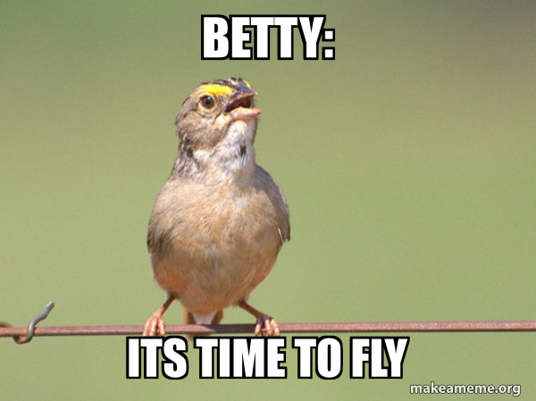 Betty: Its time to fly - Common Opinion Sparrow Meme Generator
