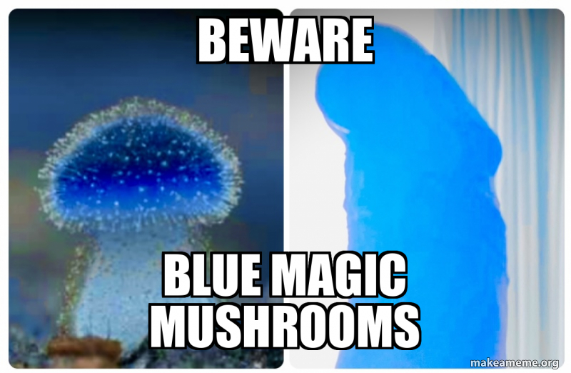 Beware Blue magic mushrooms Meme Generator