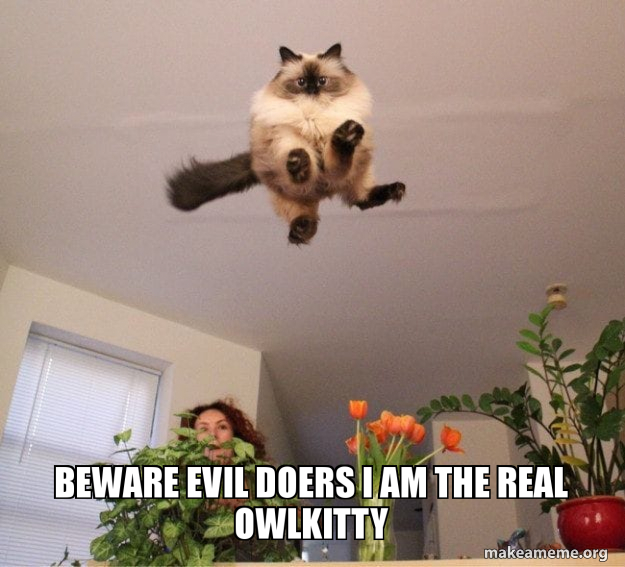 beware evil doers i am the real Owlkitty Meme Generator