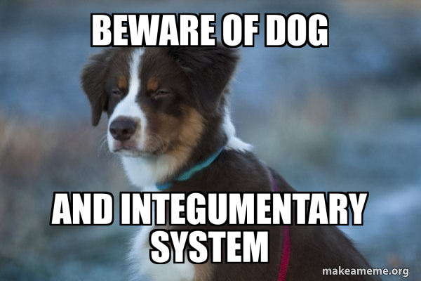 beware of dog and integumentary system - Unsure Dog Meme Generator