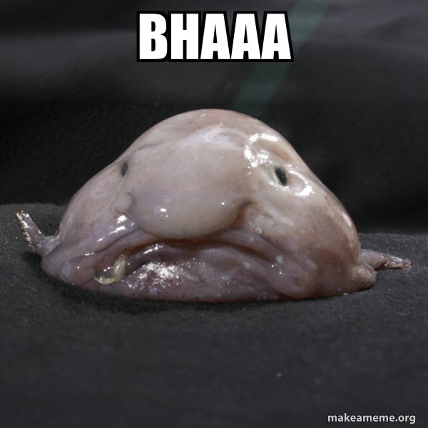 bhaaa - Blobfish Meme Generator