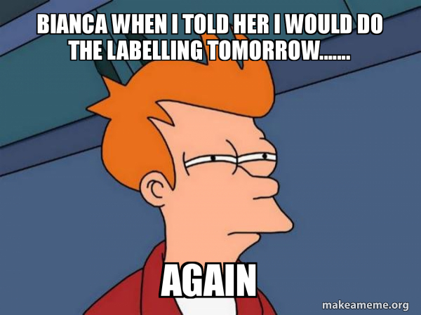 Bianca when I told her I would do the labelling tomorrow....... again ...