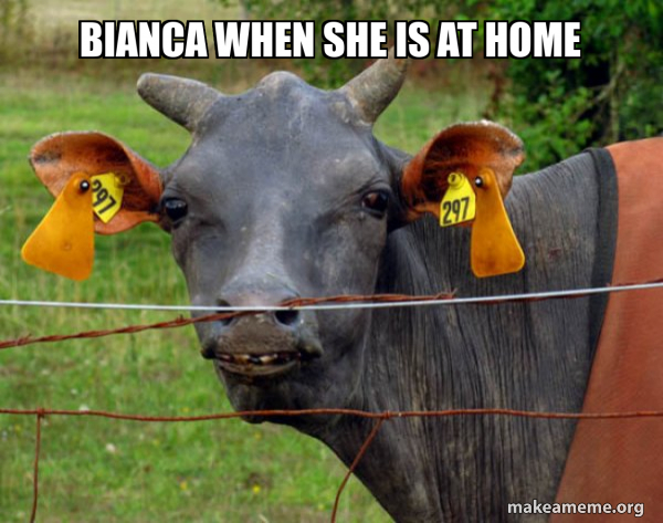 bianca when she is at home - Hairless Cow Meme Generator