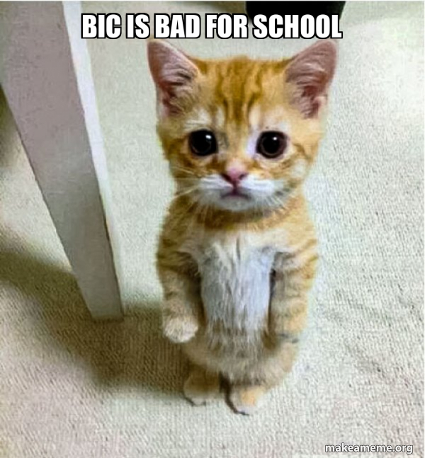 bic is bad for school - Cute Cat Standing Meme Generator