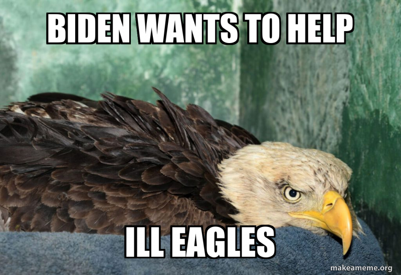 Biden wants to help Ill eagles Meme Generator