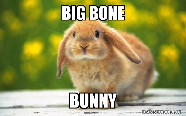 big bone BUNNY - Regretful Rabbit Meme Generator