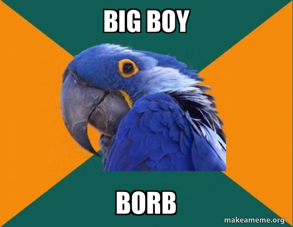BIG BOY BORB - Paranoid Parrot Meme Generator