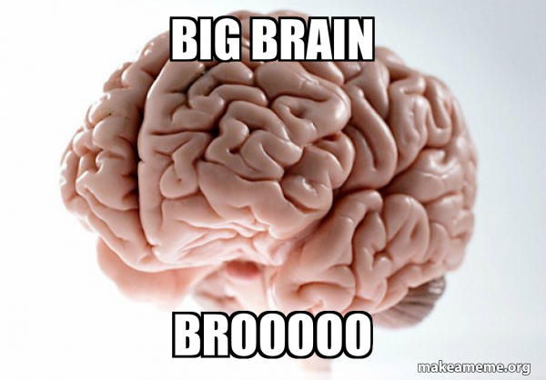 BIG BRAIN BROOOOO - Scumbag Brain Meme Generator