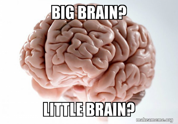big brain? Little brain? - Scumbag Brain Meme Generator