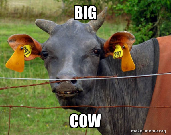 big cow - Hairless Cow Meme Generator