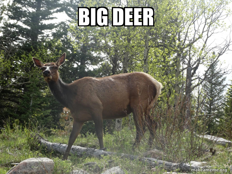 big deer Meme Generator