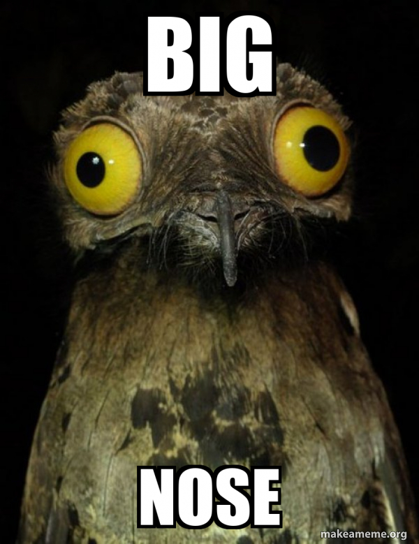 Big Nose - Weird Stuff I do Potoo Meme Generator