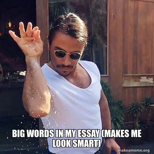 big words in my essay (makes me look smart) - SaltBae or Salt Bae Meme ...