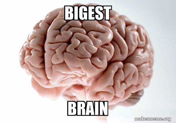 BIGEST BRAIN - Scumbag Brain Meme Generator