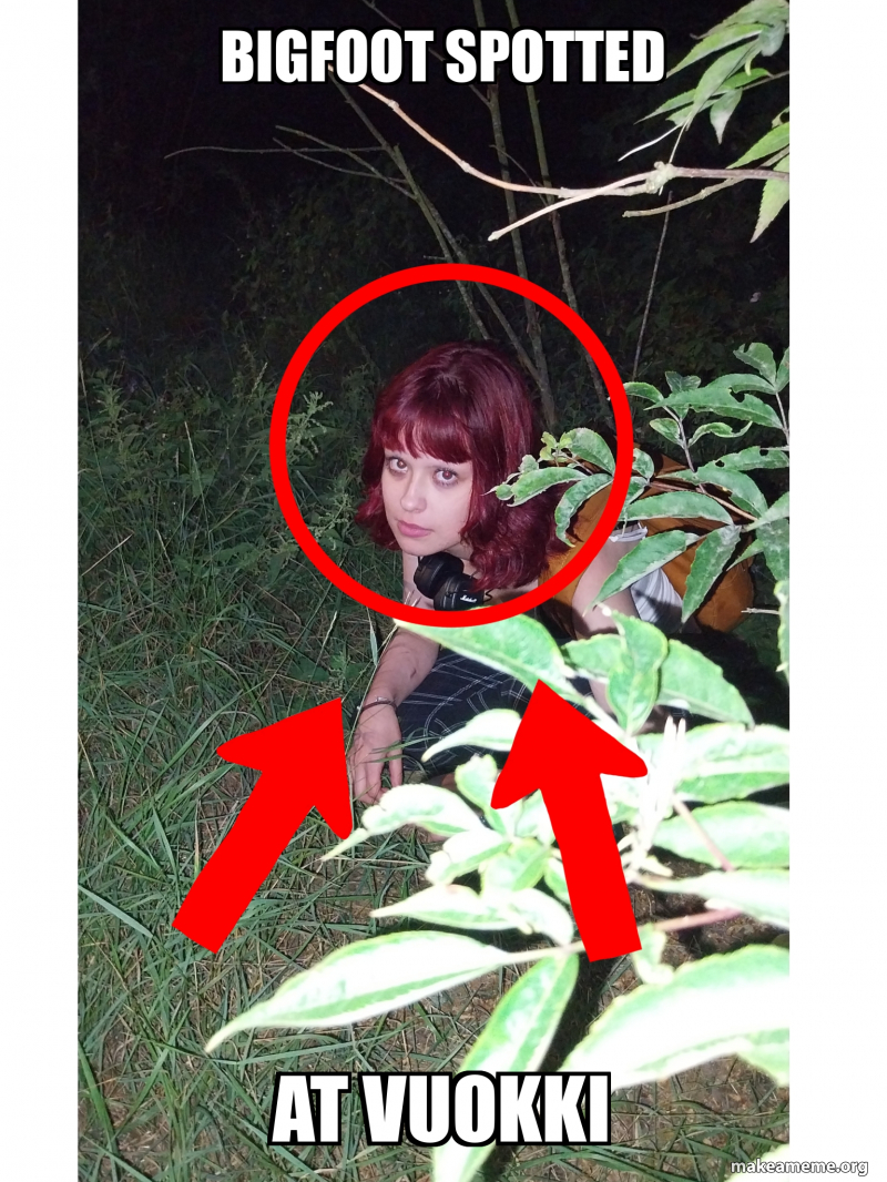 BIGFOOT SPOTTED AT VUOKKI Meme Generator