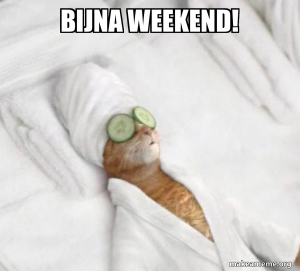 Bijna weekend! - Pampered Cat Meme Meme Generator