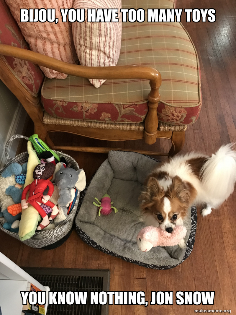Bijou, YOu have too many toYs You know nOthing, jon snow Meme Generator
