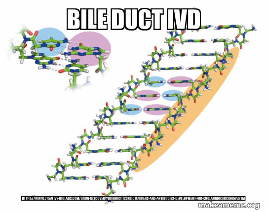 bile duct IVD https://www.creative-biolabs.com/drug-discovery ...