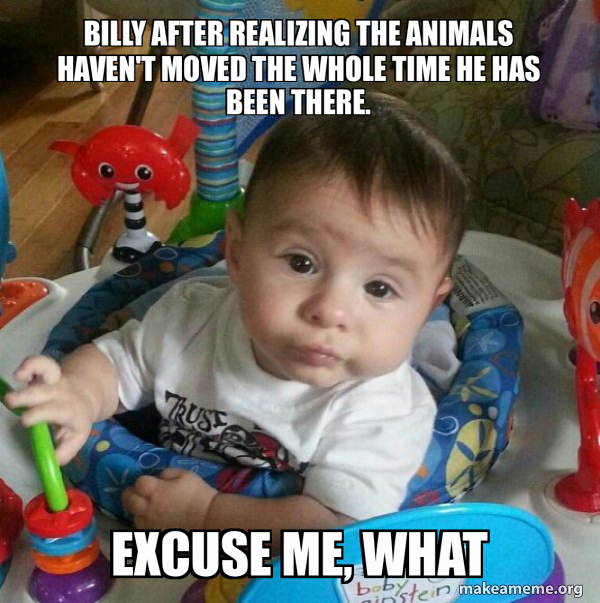 Billy after realizing the animals haven't moved the whole time he has ...