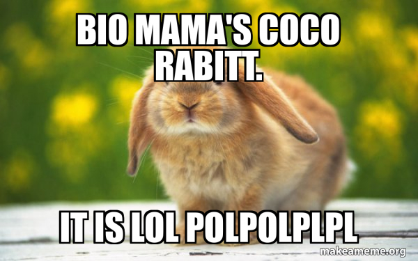 bio mama's coco rabitt. it is lol polpolplpl - Regretful Rabbit Meme ...