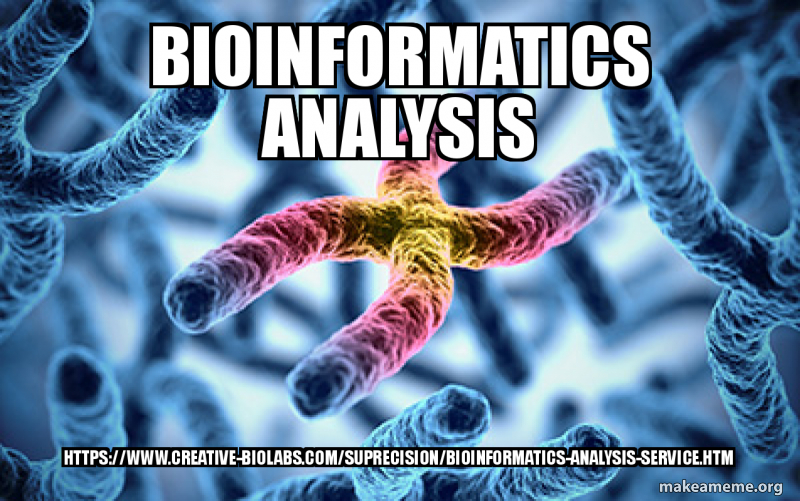 Bioinformatics Analysis https://www.creative-biolabs.com/suprecision/bioinformatics-analysis ...