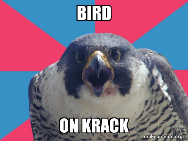 Bird On Krack - Millennial Falcon Meme Generator
