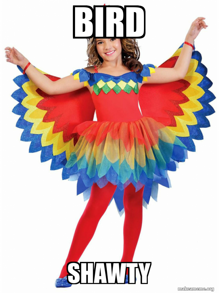 Bird Shawty Meme Generator