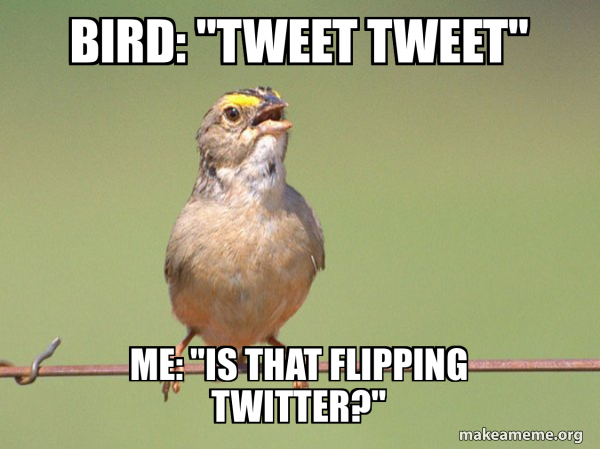 Bird: "Tweet Tweet" Me: "is that flipping twitter?" - Common Opinion ...