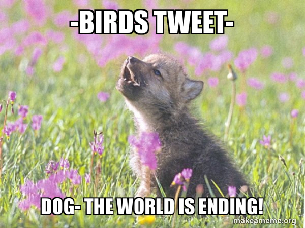-birds tweet- dog- THE WORLD IS ENDING! - Baby Insanity Wolf Meme Generator