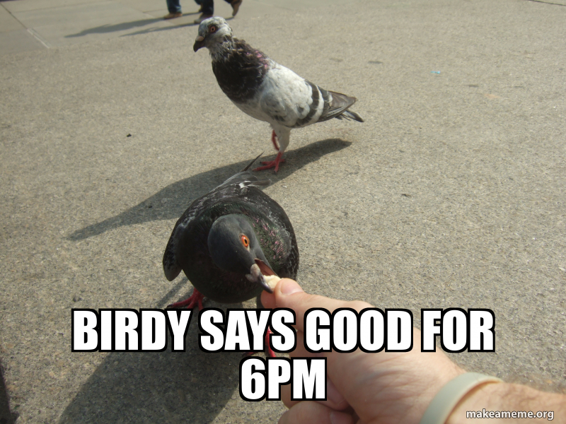 birdy says good for 6pm Meme Generator