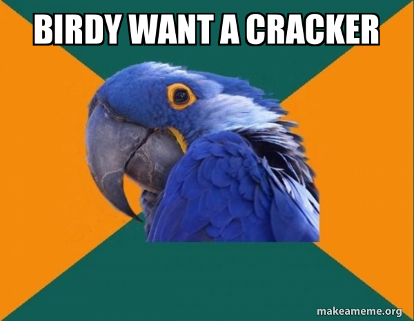 birdy want a cracker - Paranoid Parrot Meme Generator