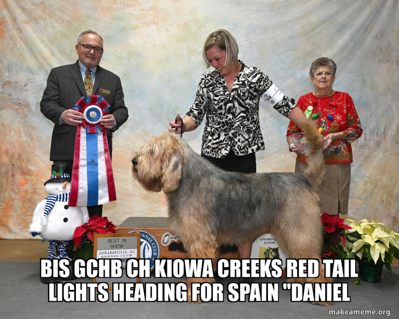 BIS GCHB CH KIOWA CREEKS RED TAIL LIGHTS HEADING FOR SPAIN "DANIEL Meme ...