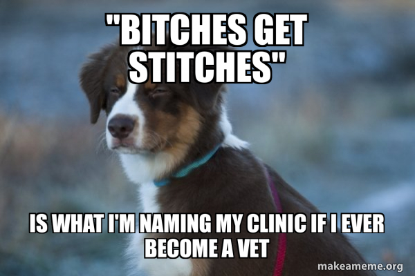 "Bitches Get Stitches" is what I'm naming my clinic if I ever become a ...