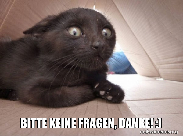 bitte keine Fragen, danke! :) - Schitzo Cat Meme Generator