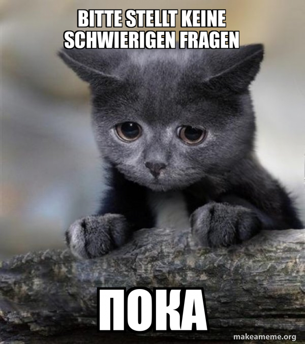 Bitte stellt keine schwierigen Fragen пока - Confession Cat Meme Generator