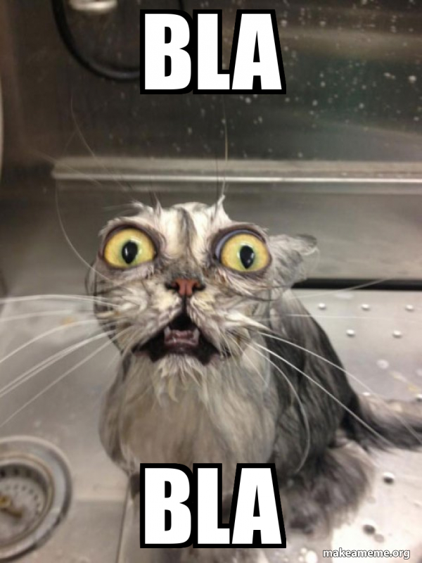 BLA BLA - Cat bath Meme Generator