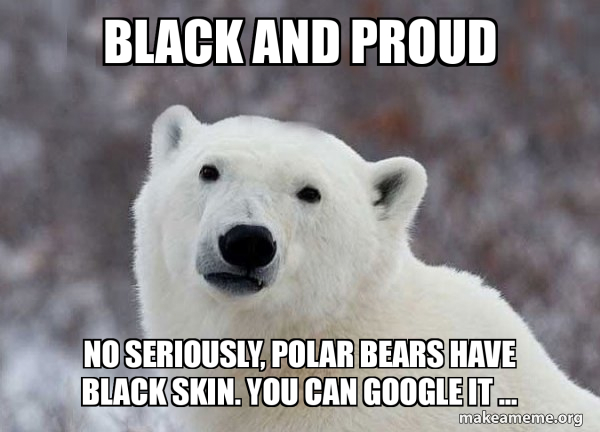 Black and proud No seriously, polar bears have black skin. You can ...