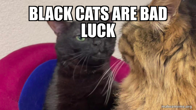 black cats are bad luck Meme Generator